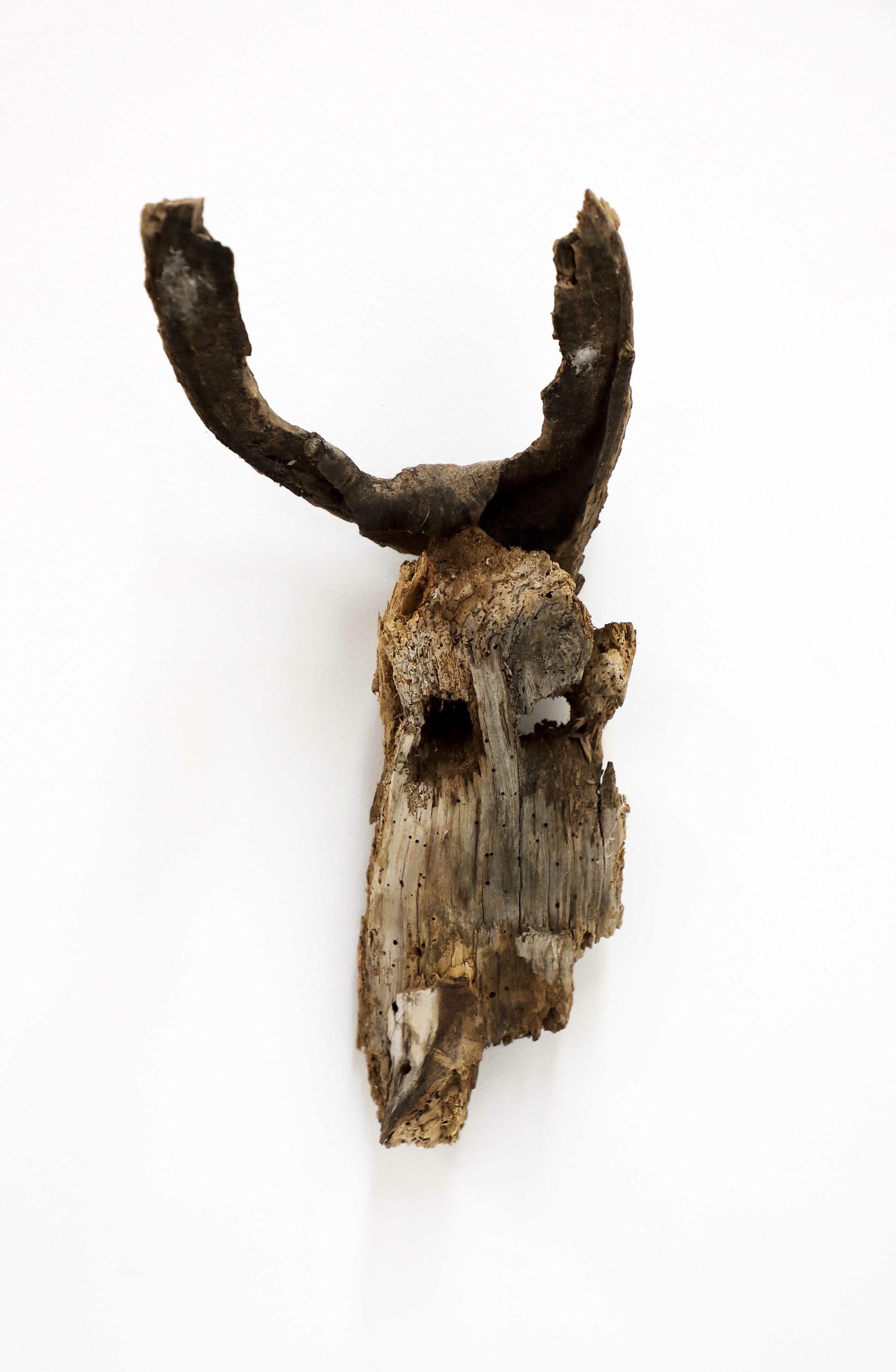 Antony Zito: Catalog Launch and Artist Talk - Howl! Arts